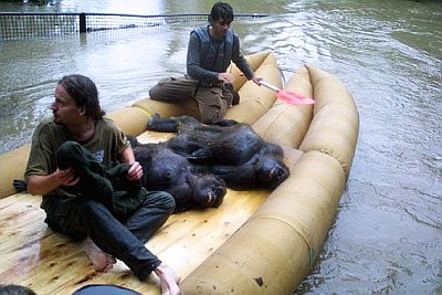 floods & rebuilding [Prague Zoo Praha] - ZooChat